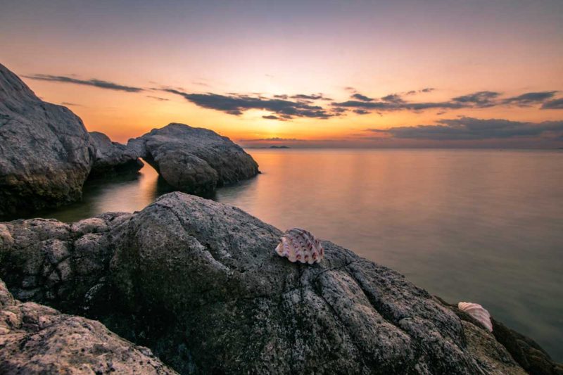 A Labuan Bajo Trip or How to Spot a Dragon