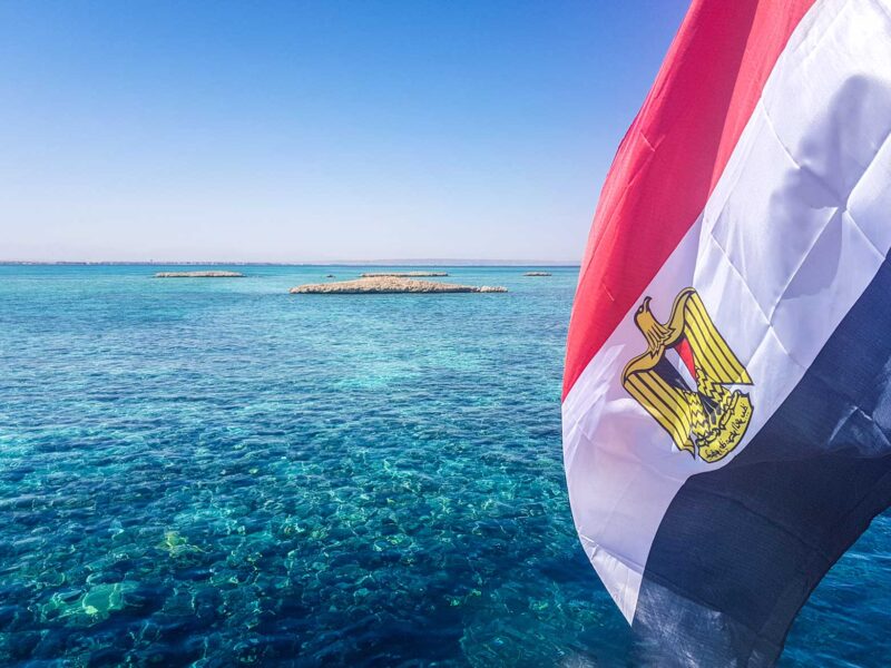 Chasing the perfect photo in...The Red Sea