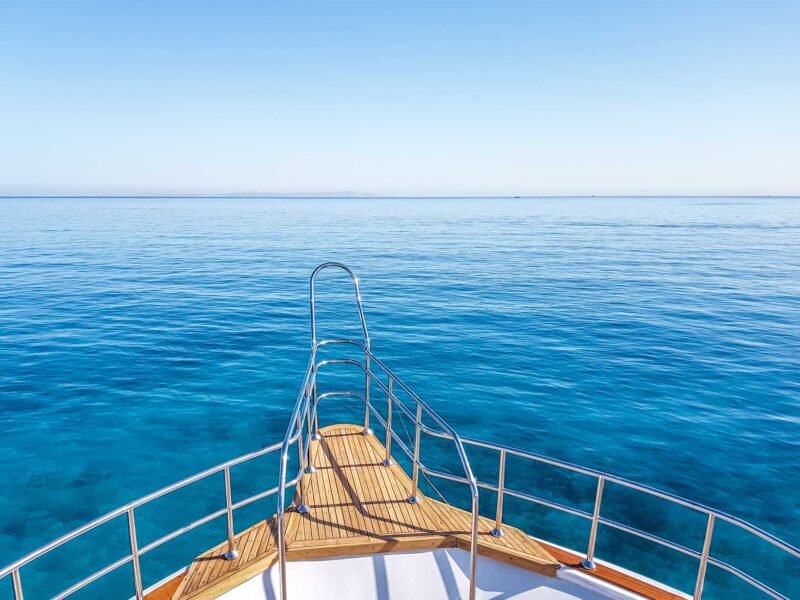 Chasing the perfect photo in...The Red Sea