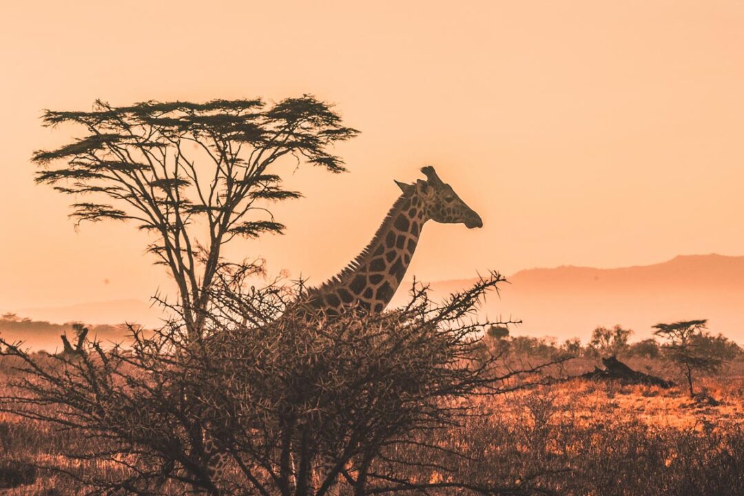 Top 20 Biggest Landmarks in Africa (2022)