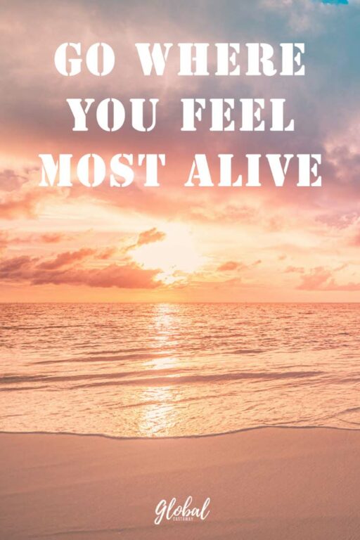 50 Wild Quotes For Wild Souls (+ pictures)