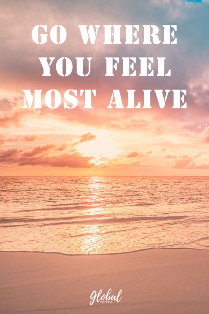 50 Wild Quotes For Wild Souls (+ pictures)