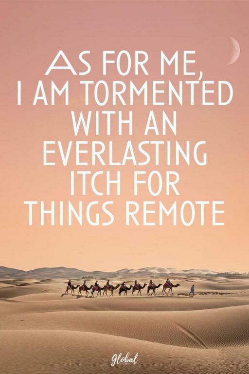 50 Wild Quotes For Wild Souls (+ pictures)