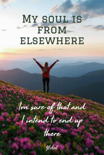 50 Wild Quotes For Wild Souls (+ pictures)