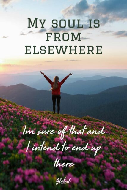 50 Wild Quotes For Wild Souls (+ pictures)