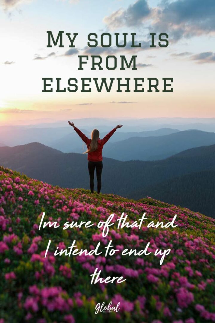 50 Wild Quotes For Wild Souls (+ pictures)