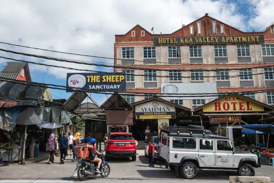 The Ultimate Cameron Highlands Itinerary (2024)